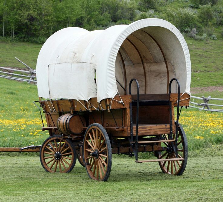 Getting Back on the Wagon! | Periwinkle Starr